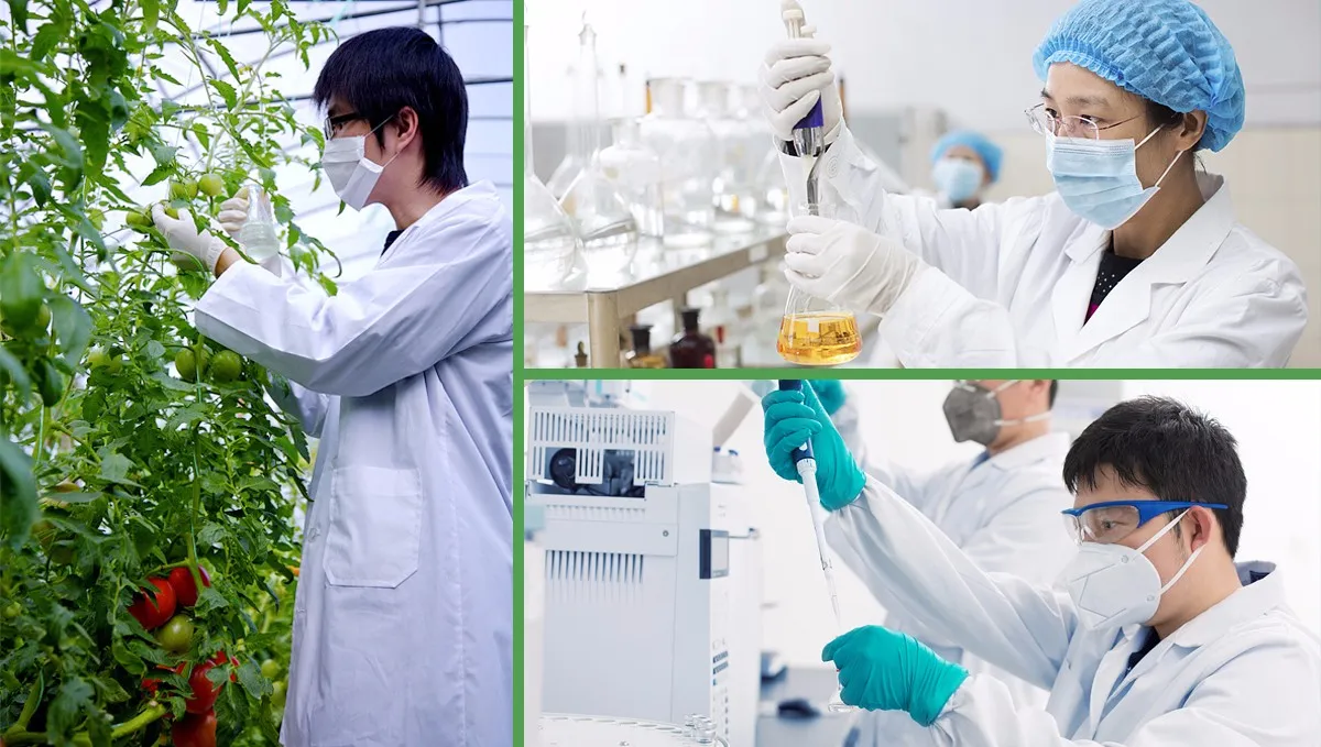 Tech & Lab - Horizon Chem